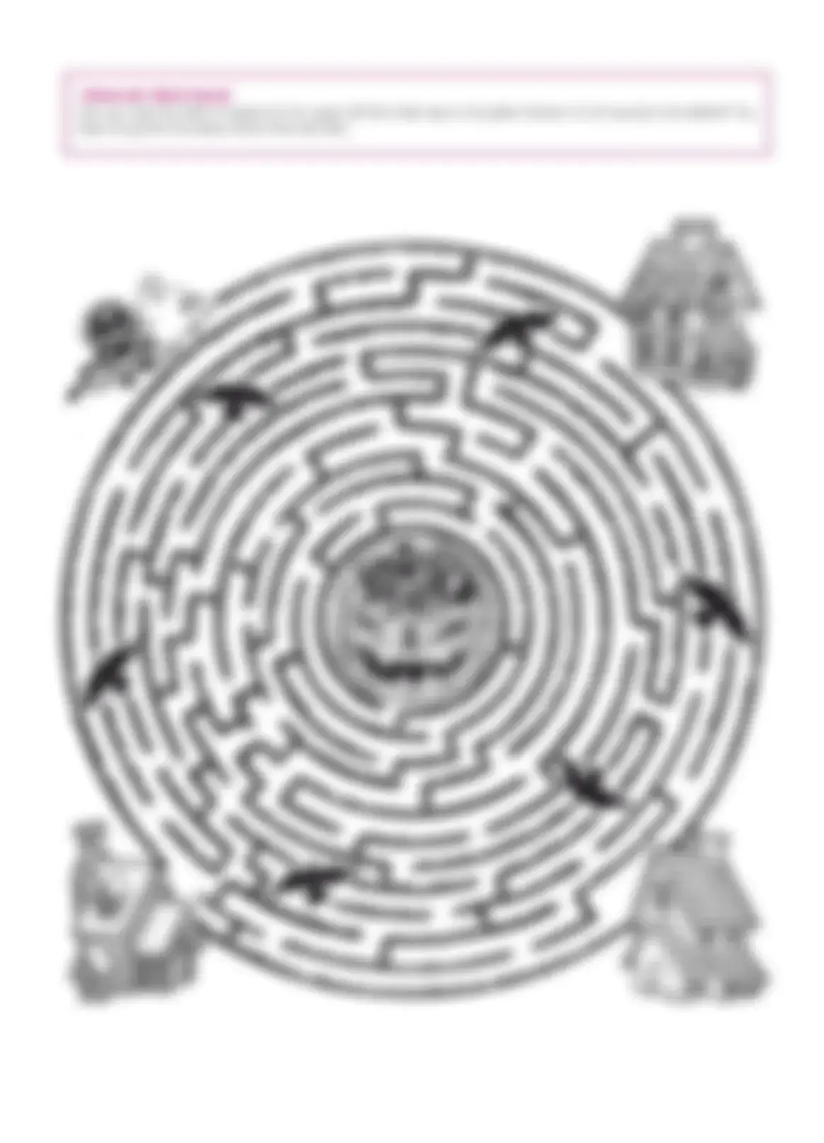 Impossible Circle Maze