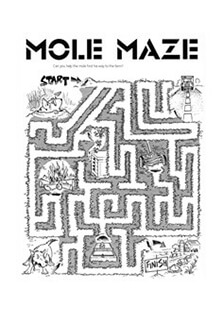 Impossible Maze Team Building Activity