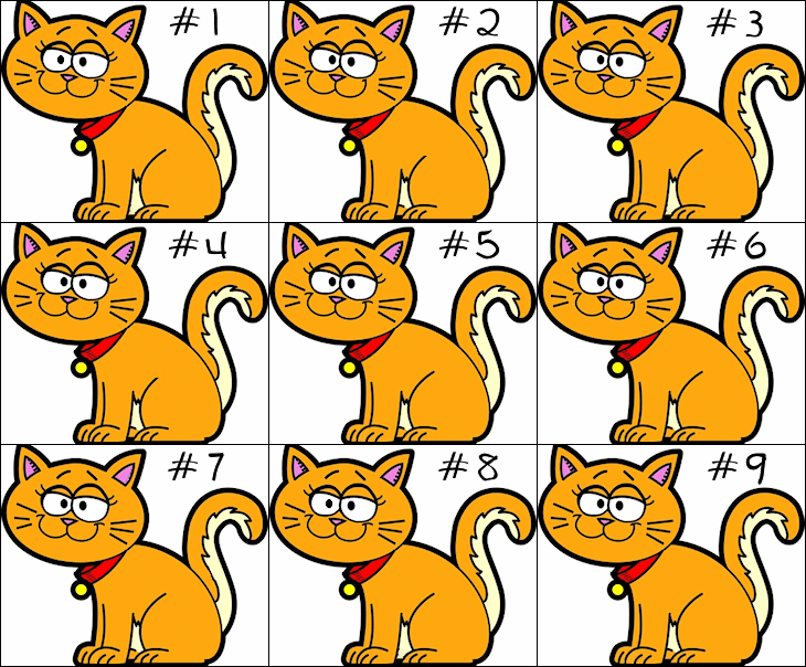 Visual Perception - Matching Cats